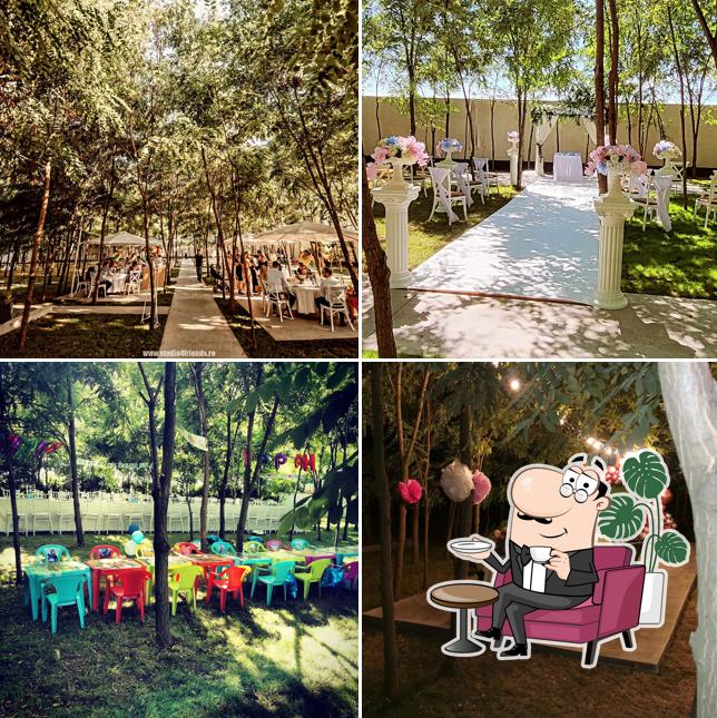 Aybo Garden, Agigea - Restaurant menu, prices and reviews
