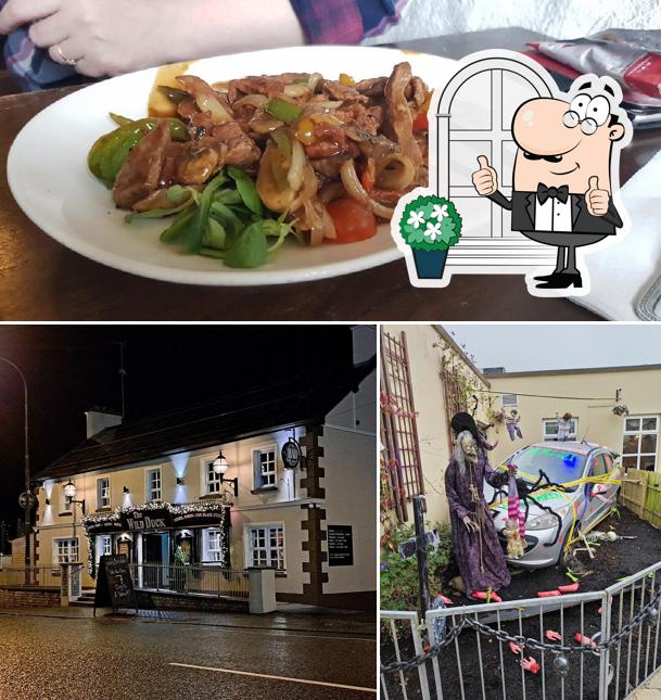 Wild Duck Inn, Portglenone - Restaurant menu, prices and reviews