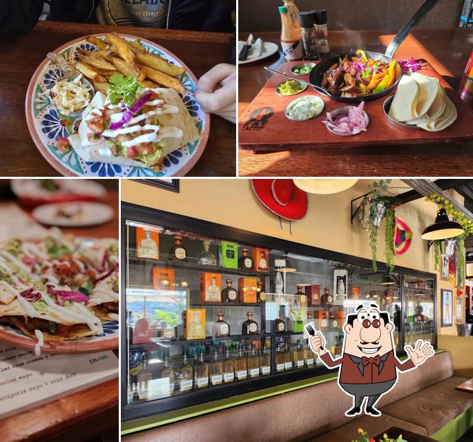 Fat Cactus Tygervalley, Cape Town - Restaurant menu, prices and reviews
