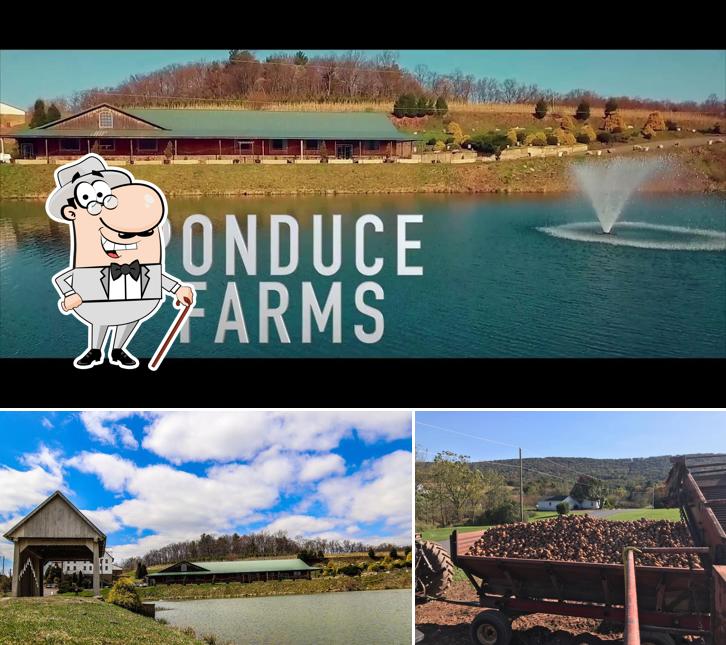 Ponduce Farms, Numidia - Restaurant menu, prices and reviews
