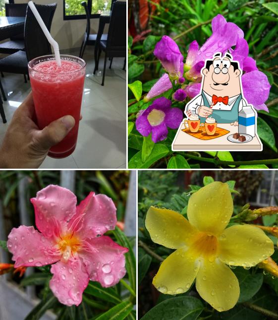 Top 7 restaurants in Infanta, january 2026 - Restaurant Guru