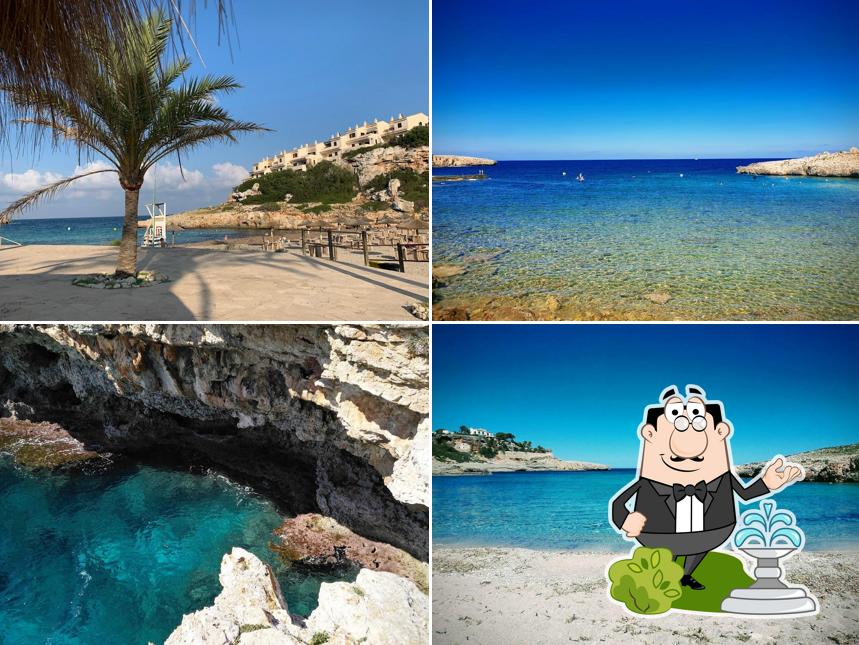 Top 4 restaurants with seafood paella in Cala Murada, december 2025 ...
