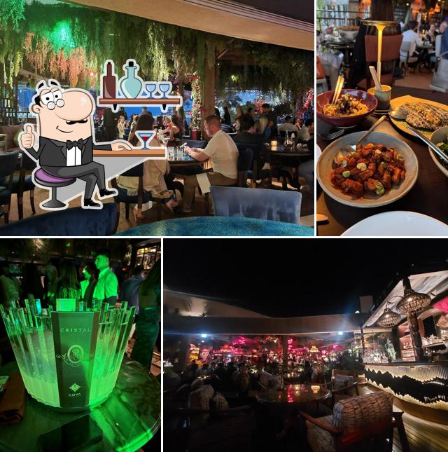 COYA Monte-Carlo, Monaco - Menu du restaurant, prix et avis