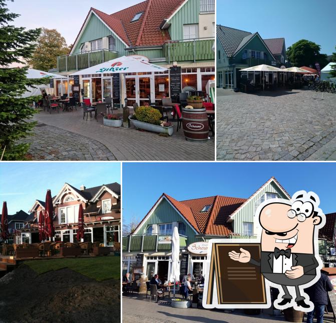Top 7 Restaurants in Zingst, Dezember 2025 - Restaurant Guru