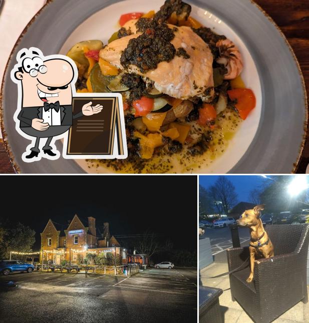Tree Tops, Nottingham - Restaurant menu, prices and reviews