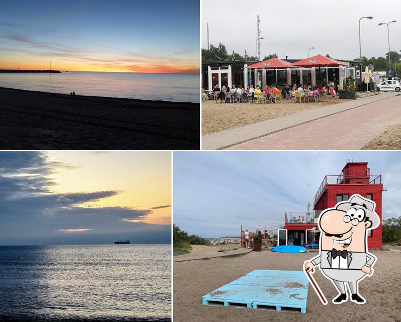 Baltas Ruonis, Klaipėda - Restaurant menu, prices and reviews