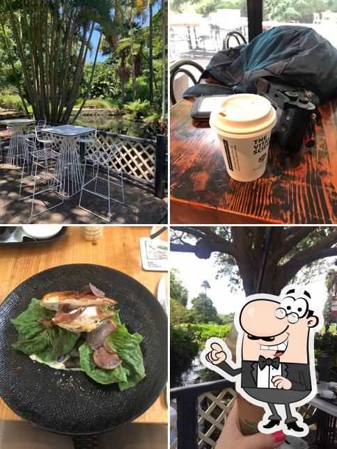 Botanic Gardens Cafe, Sydney - Restaurant menu, prices and reviews