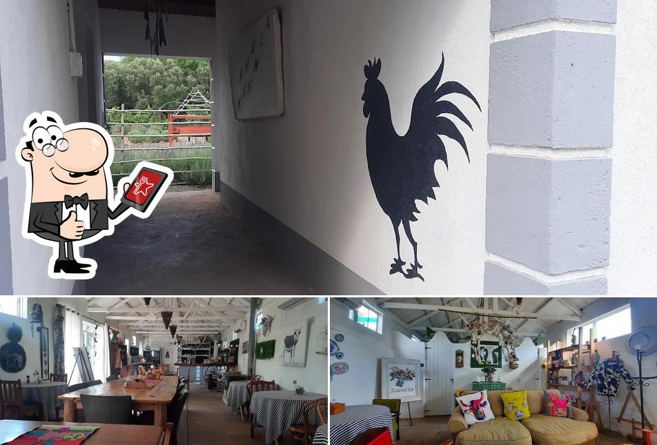 Top 5 restaurants in Barkly West, december 2025 - Restaurant Guru