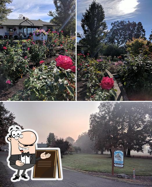 Country Bakery - Restaurant menu, prices and reviews