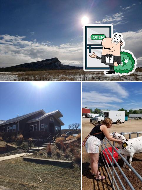 Howling Cow Cafe, Bellvue - Restaurant menu, prices and reviews