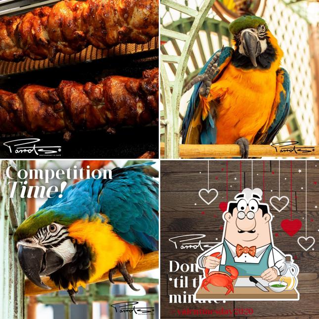 Parrots, Pretoria - Restaurant menu, prices and reviews
