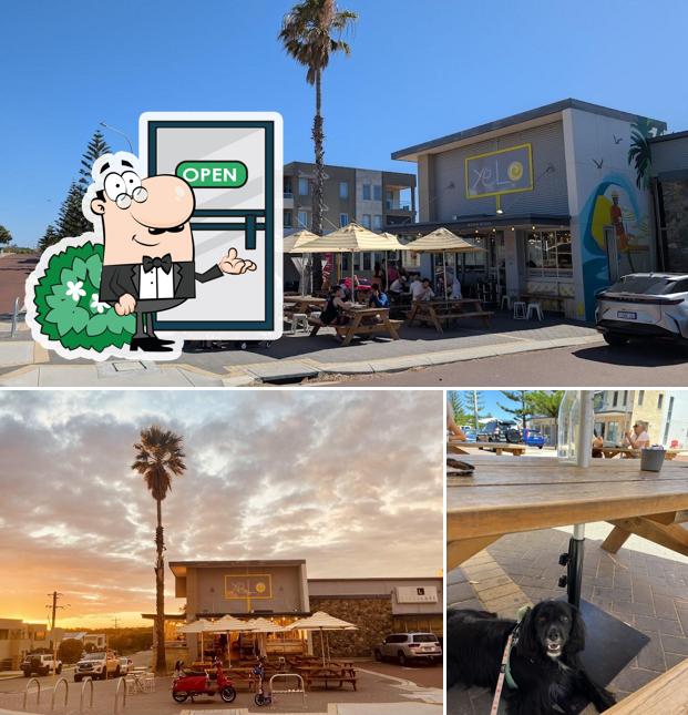 Yelo North Beach, North Beach - Restaurant menu, prices and reviews