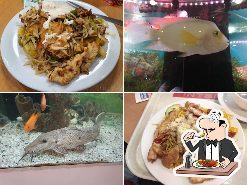 Panda Grill, Ostrava - Restaurant menu, prices and reviews