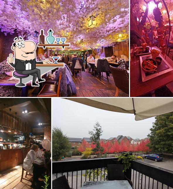 The Hunloke Arms, Chesterfield - Restaurant menu, prices and reviews