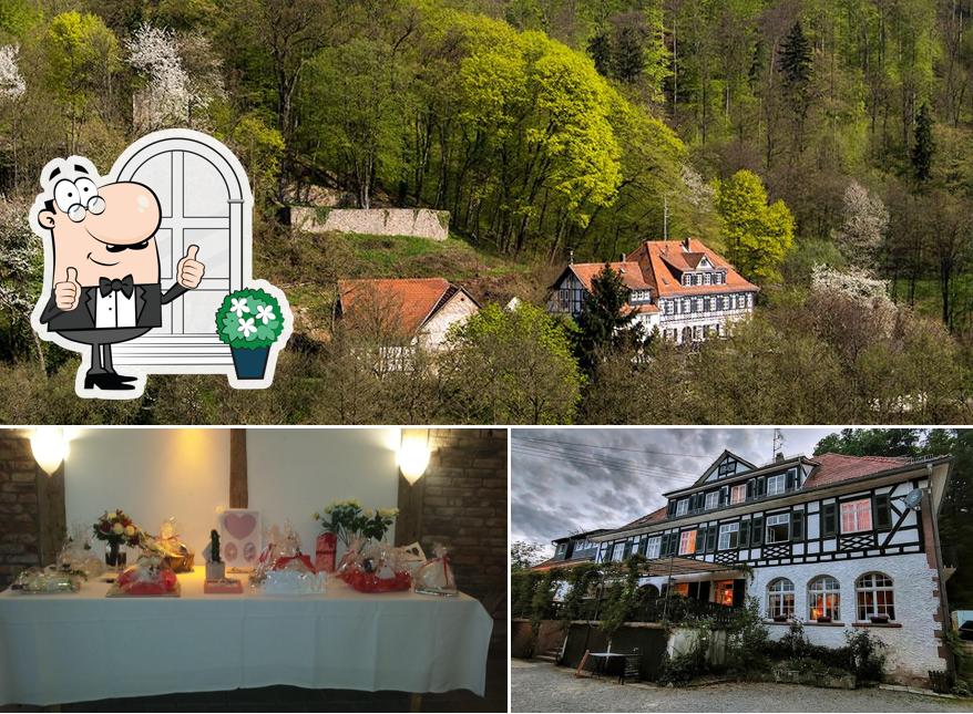 Hofgut Rodenstein, Fränkisch-Crumbach - Speisekarte, Preise und Bewertungen