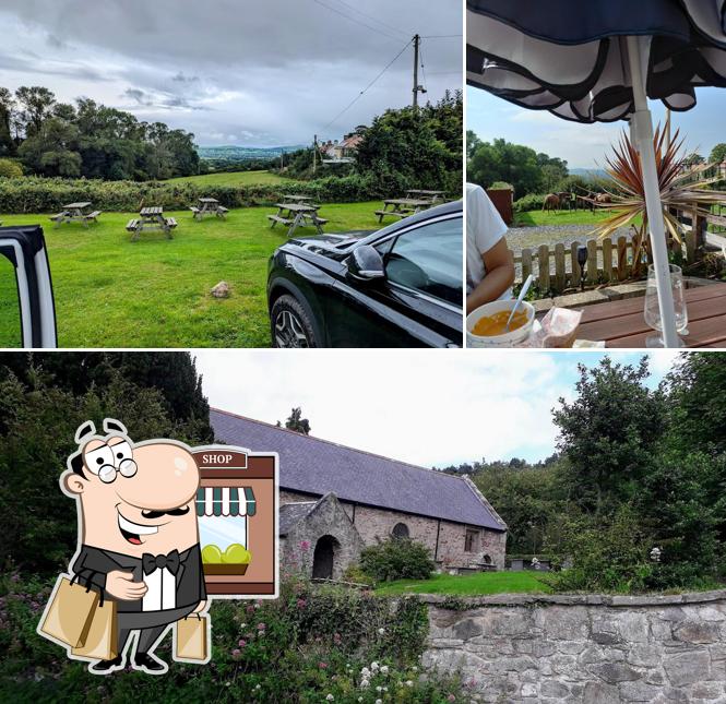 The Blue Lion Inn Cwm, Dyserth - Restaurant menu, prices and reviews