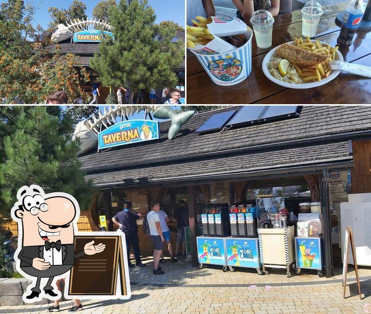 Tavern Zator - Fish Fryer, Zator - Restaurant menu, prices and reviews