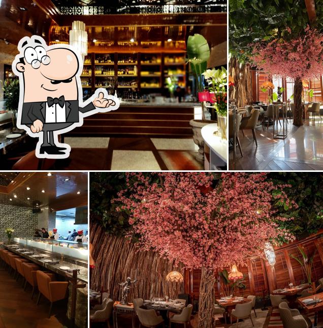 AZIA GDL, Zapopan - Menú del restaurante, precios y reseñas