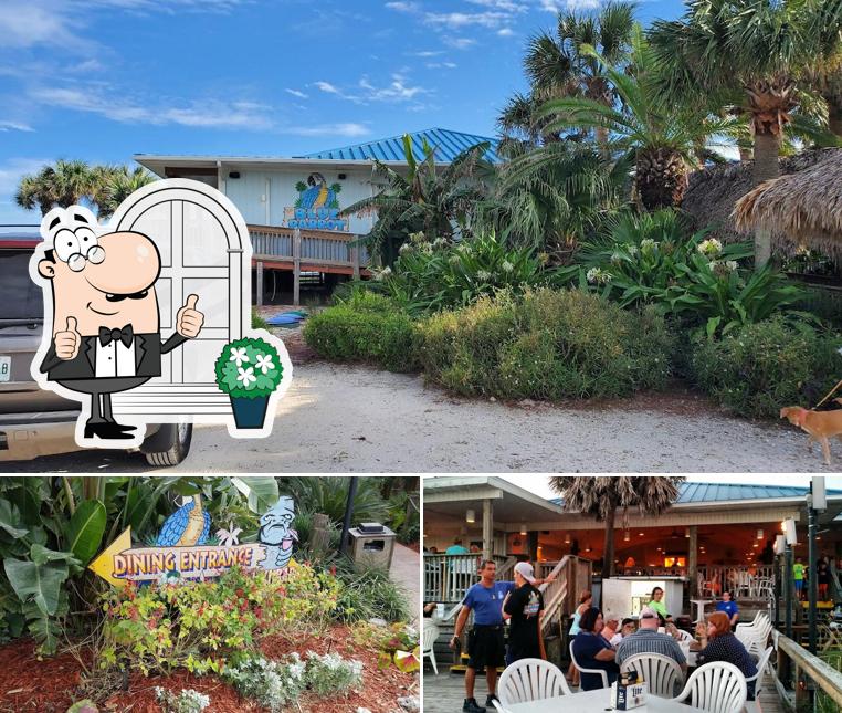 Blue Parrot Ocean Front Cafe - Restaurant menu, prices and reviews