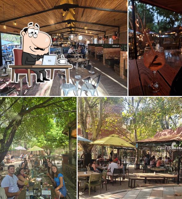 The Social Grill, Pretoria - Restaurant menu, prices and reviews