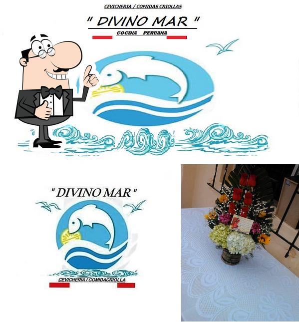 Divino Mar Peruvian Cuisine - Marine and Creole Dishes Delivery, La ...
