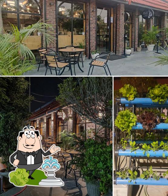 The Fresh Factory, Lucknow - Restaurant menu, prices and reviews