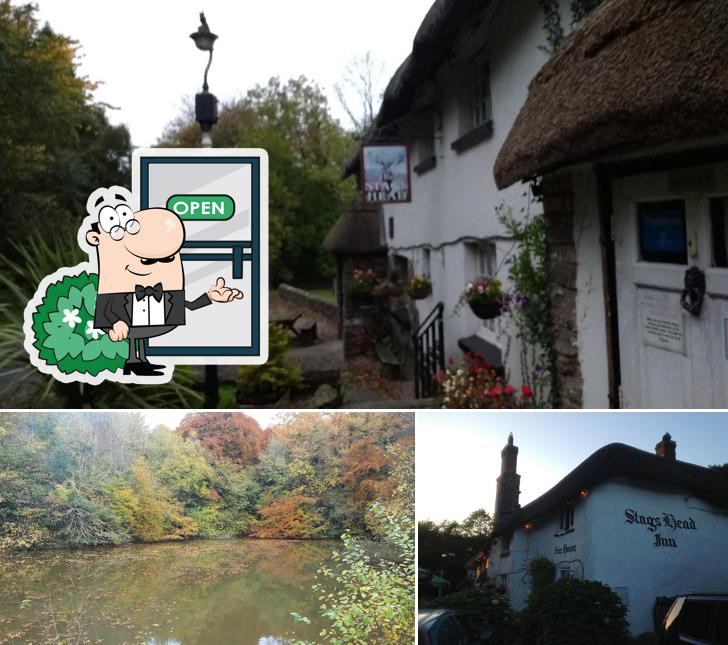 Stags Head Inn, Filleigh - Restaurant menu, prices and reviews