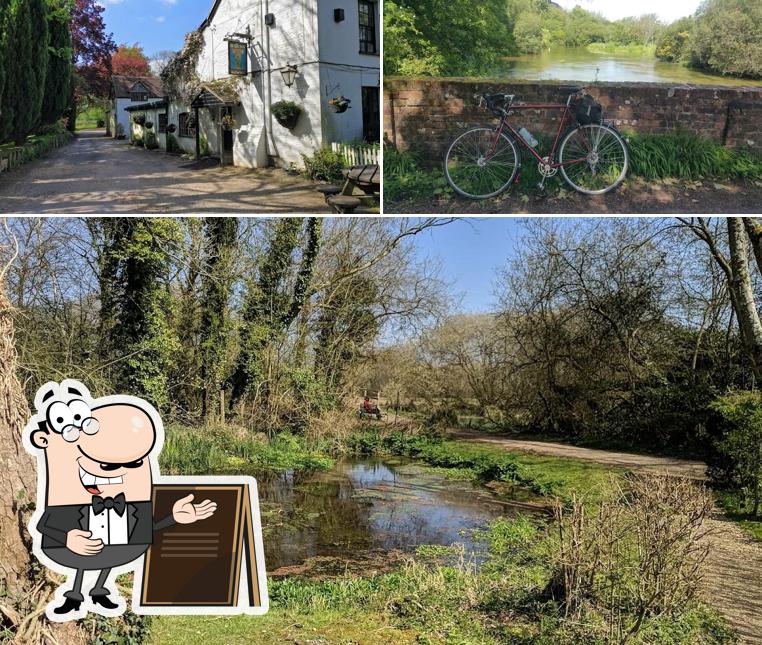 The Bush Inn, New Alresford - Restaurant menu, prices and reviews