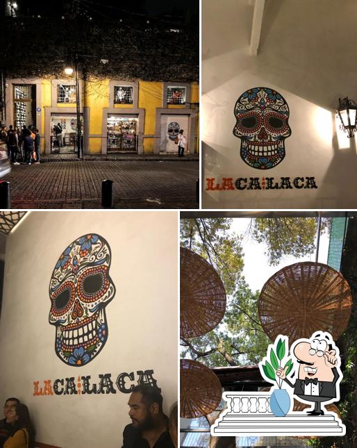 La Calaca, Ciudad de México - Menú del restaurante, precios y reseñas