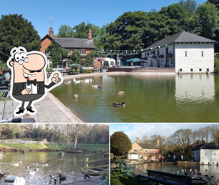 The Boar Inn, Stone - Restaurant menu, prices and reviews