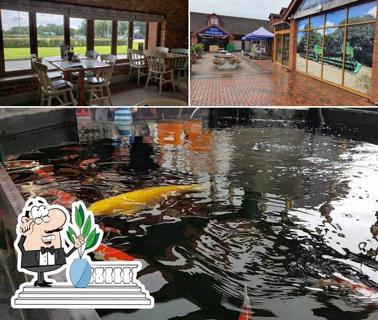 Becketts Farm, Birmingham - Restaurant menu, prices and reviews