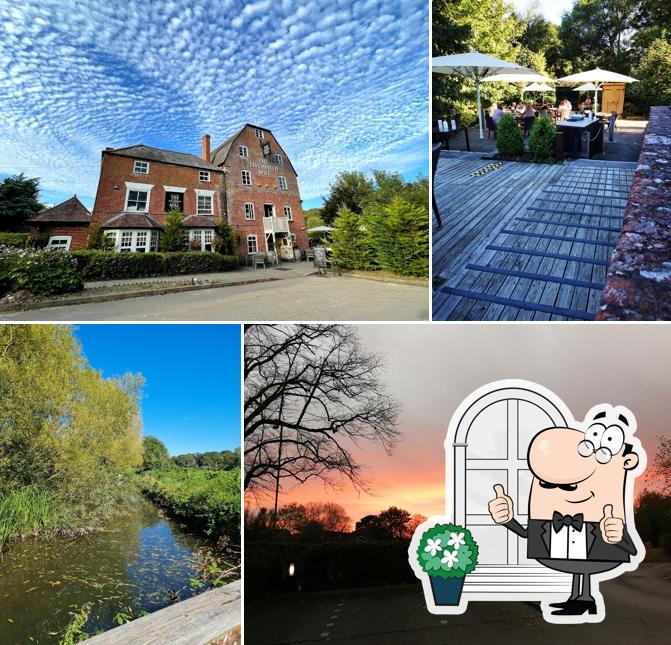 The Titchfield Mill, Fareham - Restaurant menu, prices and reviews