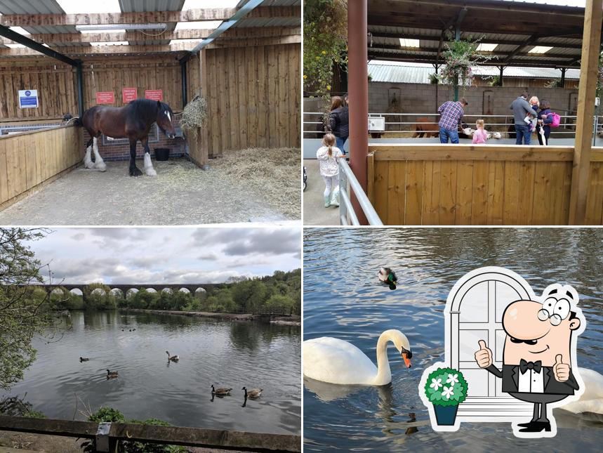 Reddish Vale Farm, Stockport - Restaurant menu, prices and reviews