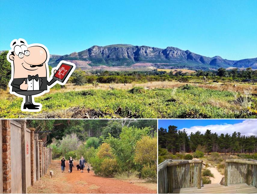 Secret Forest Café, Cape Town - Restaurant menu, prices and reviews