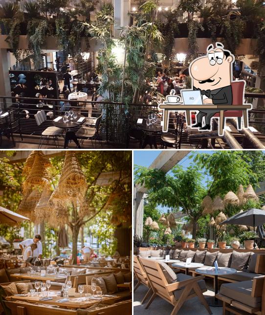Selcius, Lyon, Perrache - Menu du restaurant, prix et avis