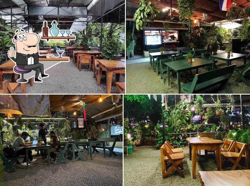 Fress Trees Garden & Cafe, Edappally, Kochi - Restaurant menu, prices ...