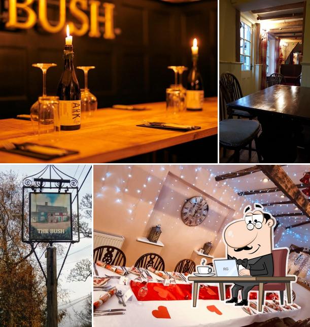 The Bush Pub @ Shimpling, Lawshall - Restaurant menu, prices and reviews
