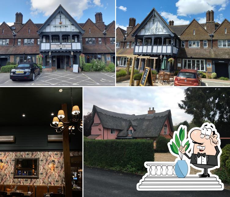 The Ely, Blackwater - Restaurant menu, prices and reviews