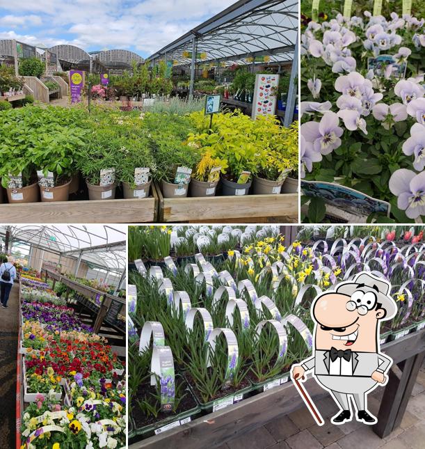 Strikes Garden Centre, Stokesley - Restaurant menu, prices and reviews