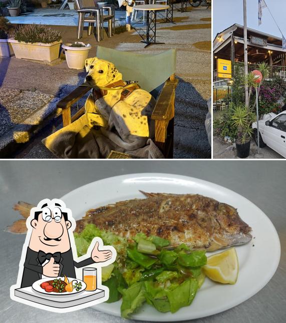 Taverna Delfinia, Sivota - Restaurant menu, prices and reviews