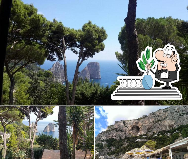 Ristorante Il Geranio Capri, Capri - Restaurant menu, prices and reviews