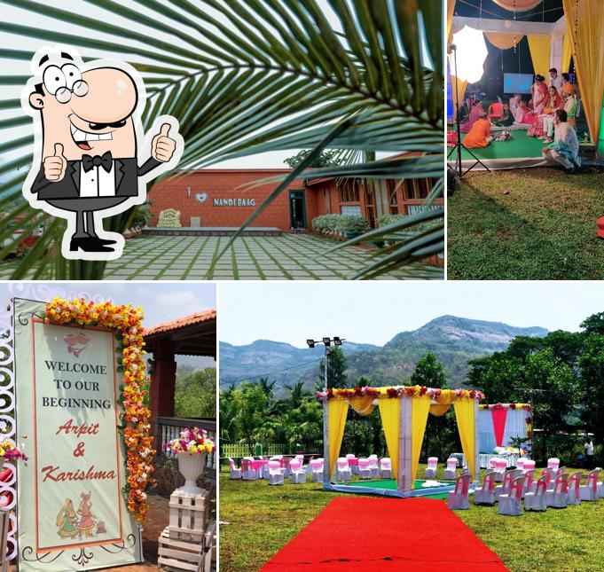 Nandi Baag Resort, Vaijanath - Restaurant menu, prices and reviews