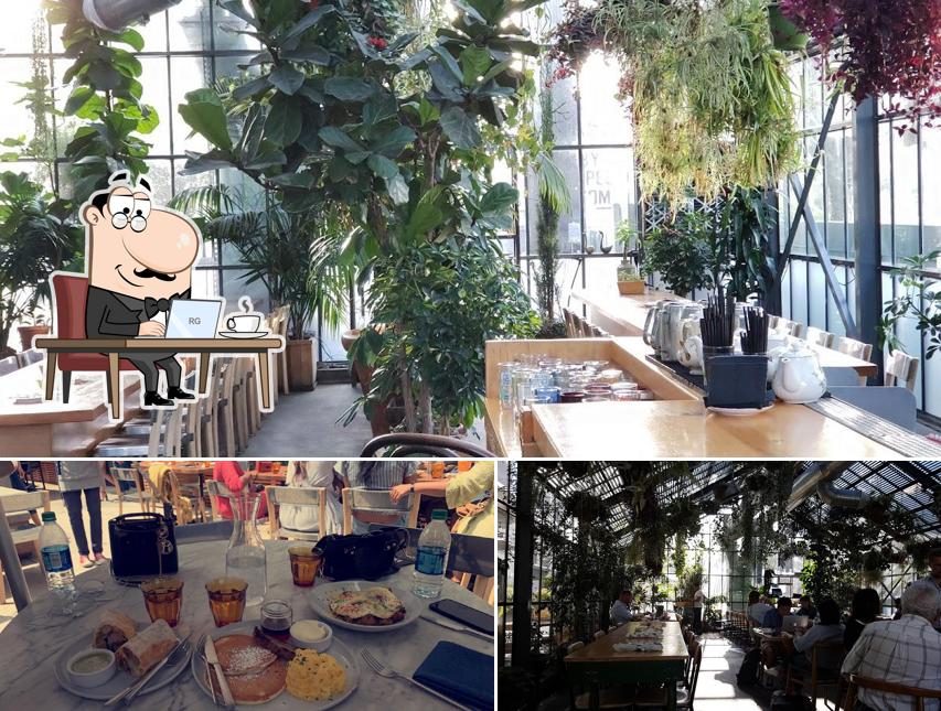 Openaire, Los Angeles - Restaurant menu, prices and reviews