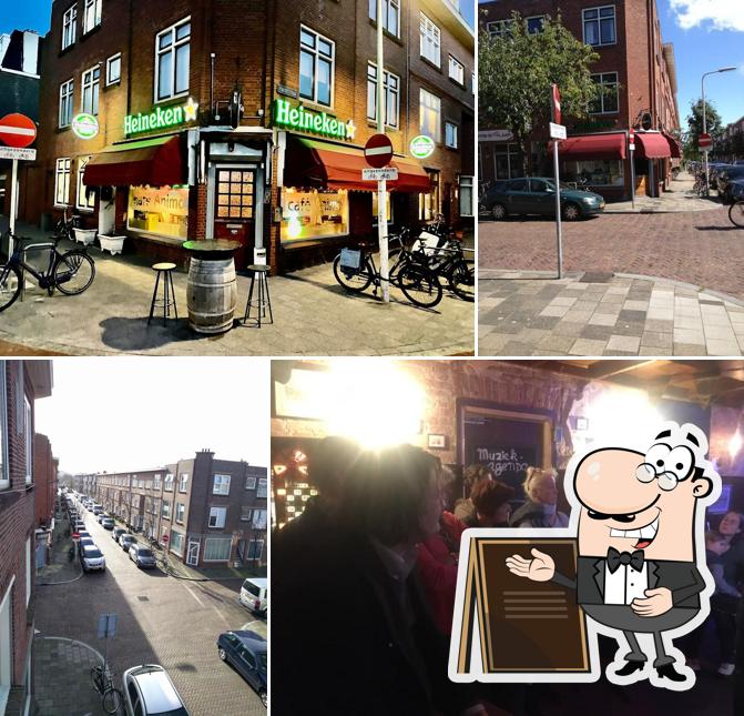 Café Animo, The Hague - Restaurant menu, prices and reviews