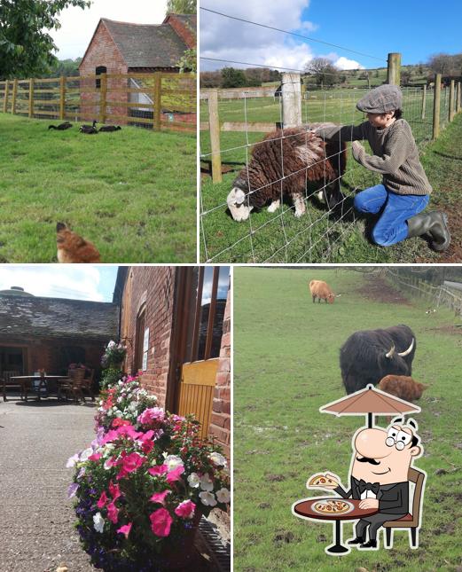 Lizzie’s Farm, Bromsgrove - Restaurant menu, prices and reviews