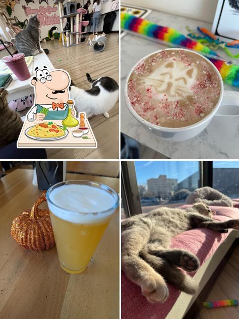 The Cattitude Café, Sioux Falls - Restaurant menu, prices and reviews