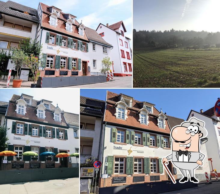 Traube Rohrbach, Heidelberg - Speisekarte, Preise und Bewertungen