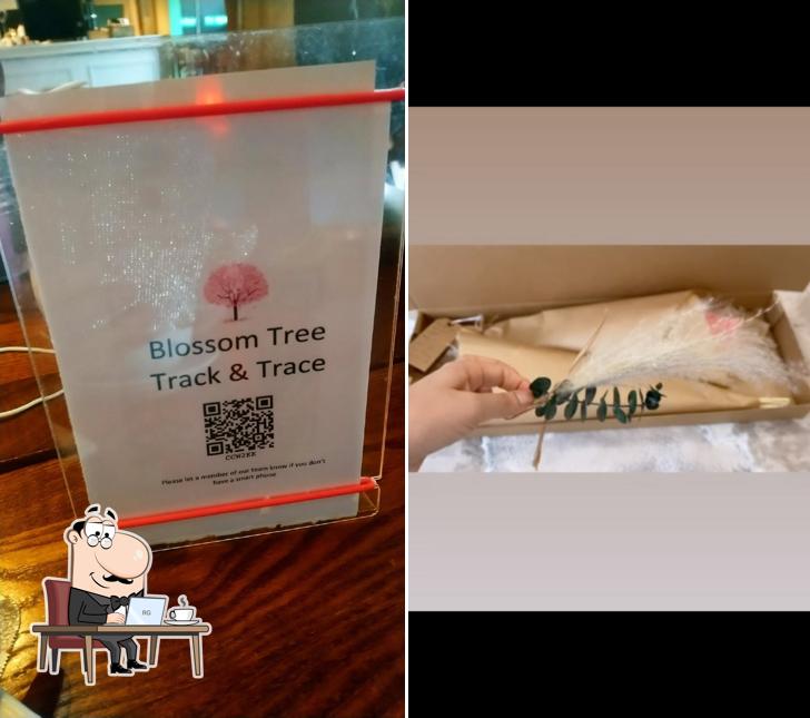 Blossom Tree, Currie - Restaurant menu, prices and reviews