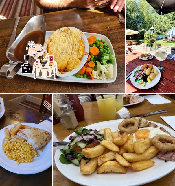 The Twisted Oak, Exeter - Restaurant menu, prices and reviews