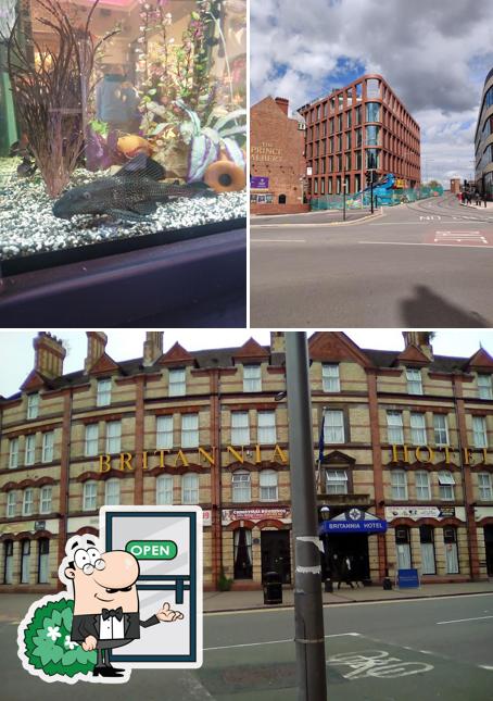 The Prince Albert, Wolves, Wolverhampton - Restaurant menu, prices and ...
